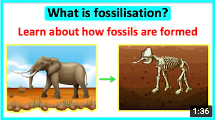 Theory of evolution - ilearneasy